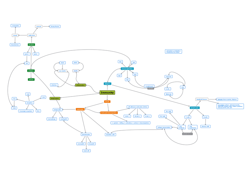 Immunity_Concept Map_studydri... - Free download