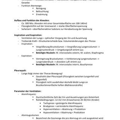 Dokument Atemphysiologie.docx - Herunterladen