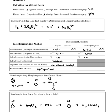 Dokument Protokoll chemische Übungen.pdf - Herunterladen