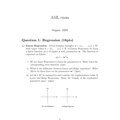 Document AML_exam_22SS.pdf - Download