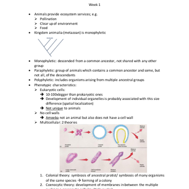 Document General Zoology Notes.docx - Download